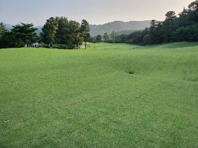 커피기계 엔지니어링 교육 추출헤드 구조 콘티 conti xeos 디퓨저 스프레이어 : 네이버 블로그