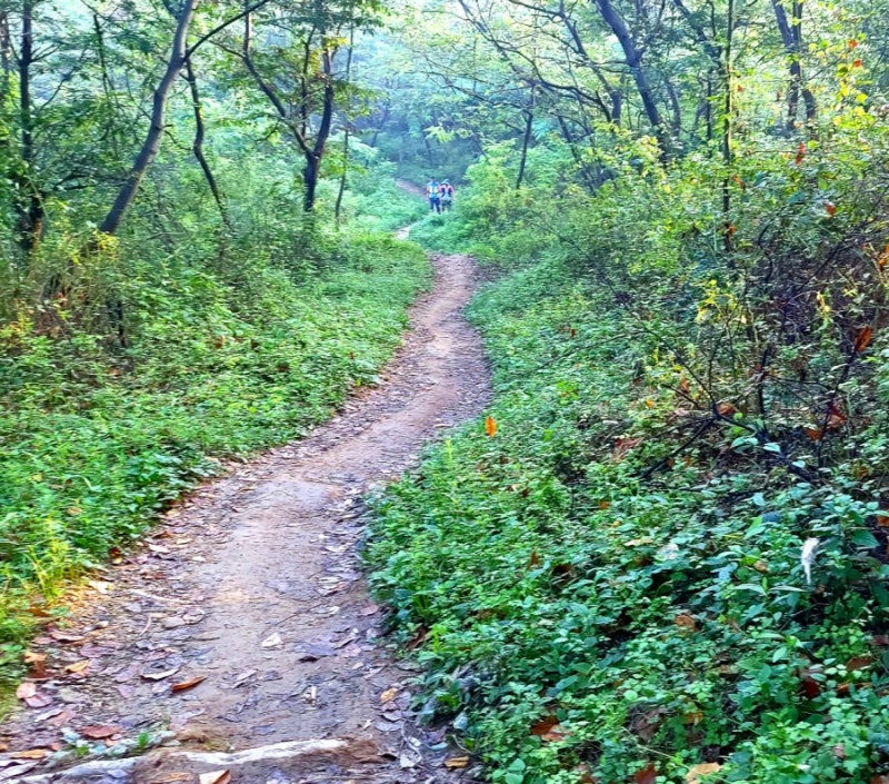 선학산 맨발 5km/ 소통 : 네이버 블로그