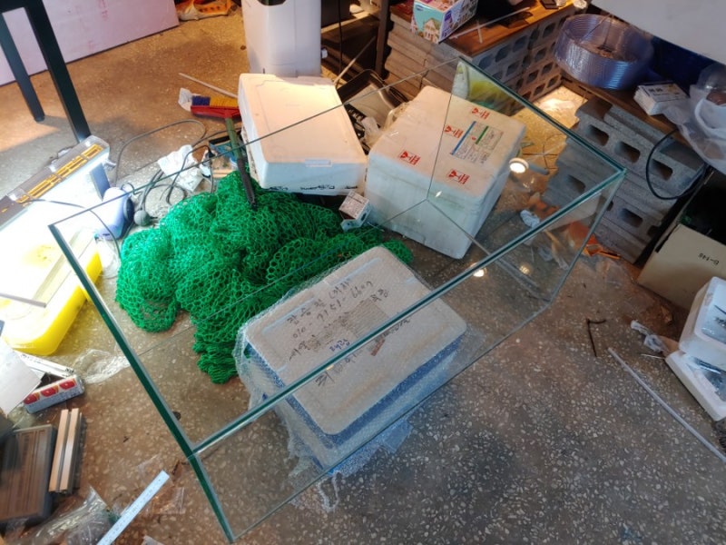 탕어 수조 교체,야생 데퍼딜 입양 : 네이버 블로그