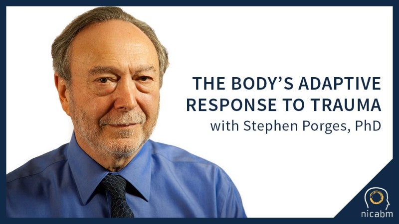 다미주 신경 이론 Polyvagal Theory Stephen W. Porges : 네이버 블로그