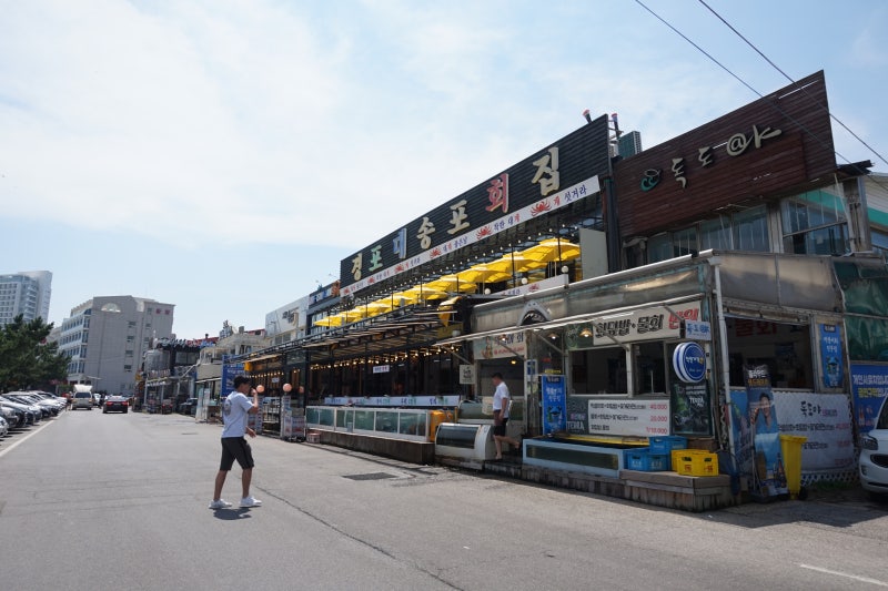 강릉 경포해변맛집 경포해변 횟집 경포대송포회집에서 물회먹은 솔직후기 네이버 블로그