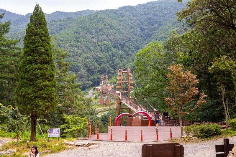 좌구산자연휴양림 구름다리 줄타기집라인 천문대 증평 네이버 블로그