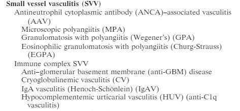 [Rheumatology] ANCA-Associated small vessel vasculitis에는 MPA, GPA, EGPA ...
