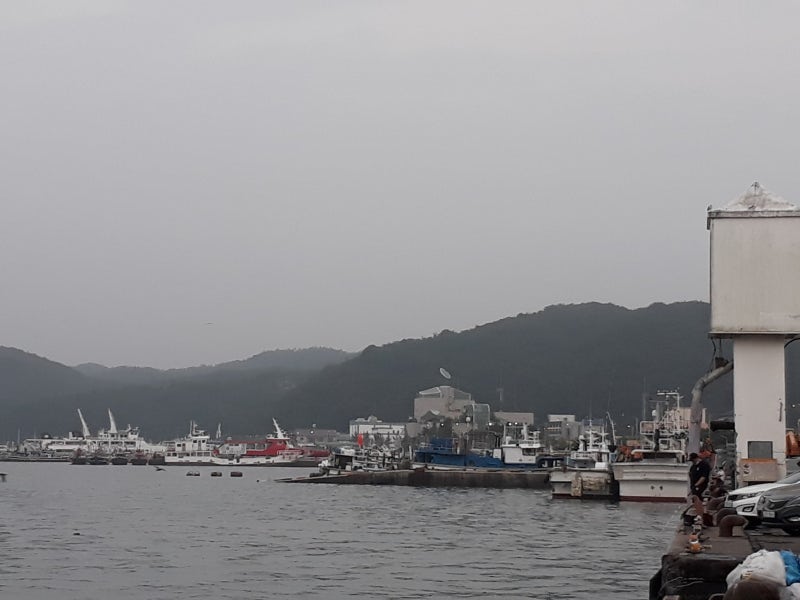대천항 친환경블루베리청양농장 친환경청양블루베리 네이버 블로그