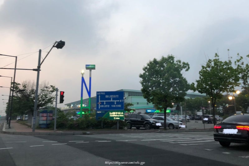 일산 꽃시장 하나로 플라워마트 고양 화훼단지 네이버 블로그