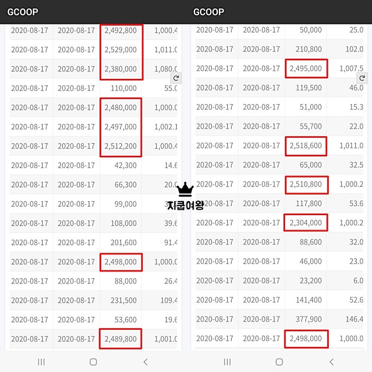 지쿱 라파402 vip 최저가 (RAPHA 4세대 신제품) + 사은품 최대혜택 : 네이버 블로그