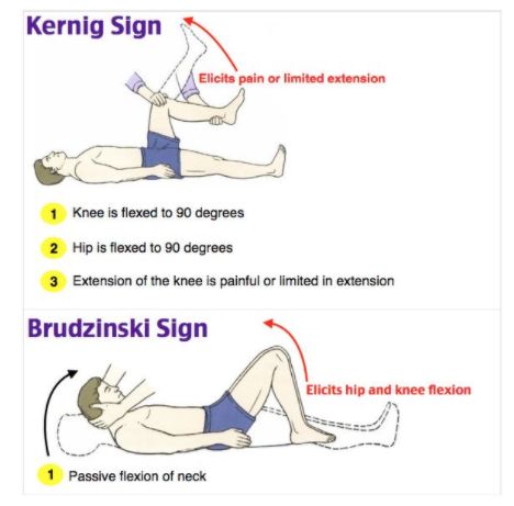 [2020/08/26] RN 프라하샘과 엔클렉스 독학 - Unit3. chapter 12. 공부자료 (사운더스8판) : 네이버 블로그