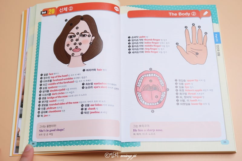 반석출판사 왕초보 영어 단어장 WCB English Word Master 쉽게 공부해요 : 네이버 블로그