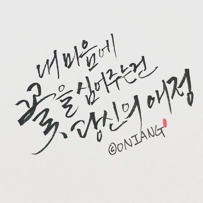 캘리그라피 독학중 인스타에서 캘리 몇장 캘리문구 문장추천 좋은글귀 예쁜단어 펜텔 쿠레타케 딥펜 네이버 블로그