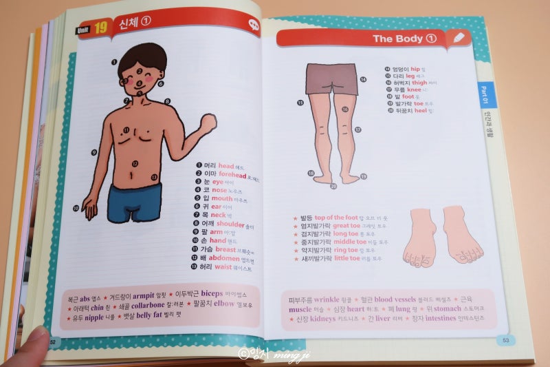 반석출판사 왕초보 영어 단어장 WCB English Word Master 쉽게 공부해요 : 네이버 블로그