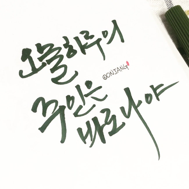 캘리그라피 독학중 인스타에서 캘리 몇장 캘리문구 문장추천 좋은글귀 예쁜단어 펜텔 쿠레타케 딥펜 네이버 블로그