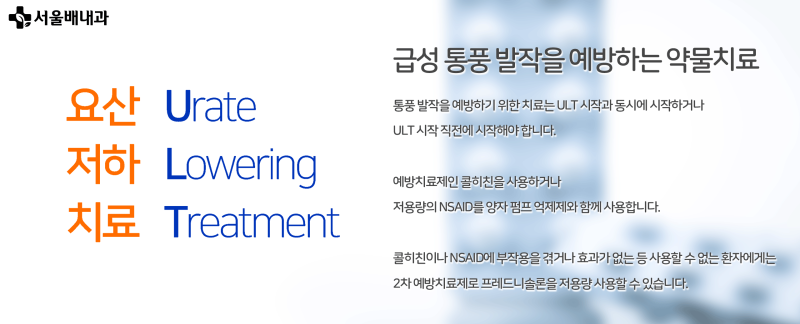 통풍 치료 급성만성통풍자이로릭패브릭정 네이버 블로그