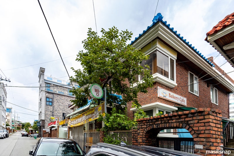 춘천 비건 빵집 추천 살루떼 베이커리로 마실가다 Feat 건강한빵 채식빵 네이버 블로그