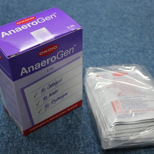 실험별 선택 배지 : 네이버 블로그