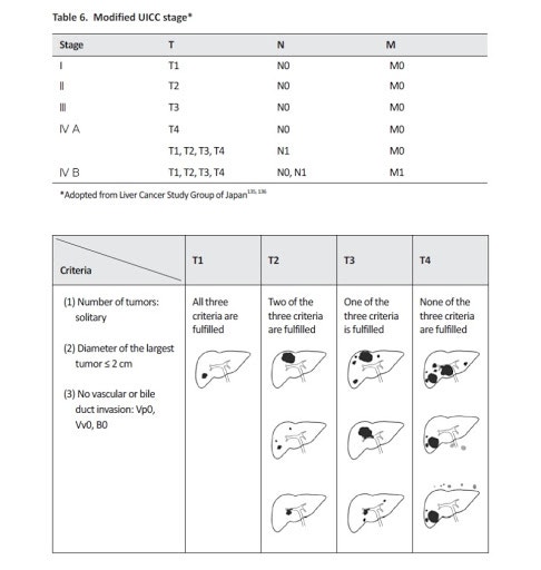 10. 간암 : 네이버 블로그