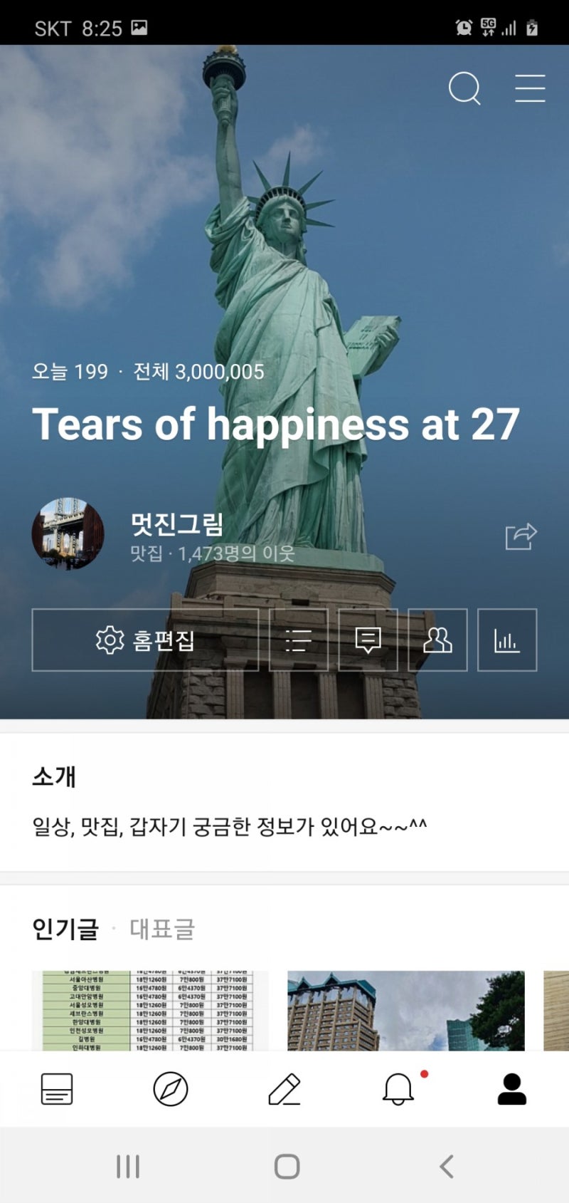 블로그 방문자 3백만 돌파(2020.8.29일) : 네이버 블로그