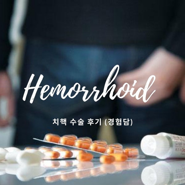 치핵 수술 후기 경험담 당일 수술 부터 회복까지 네이버 블로그