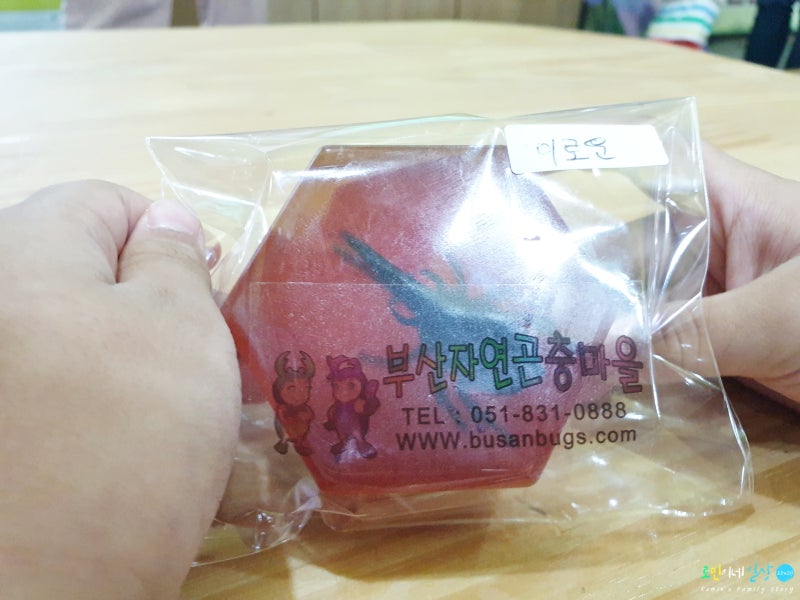 부산 아이와 가볼만한곳 부산자연곤충마을 이색체험 즐기기 네이버 블로그