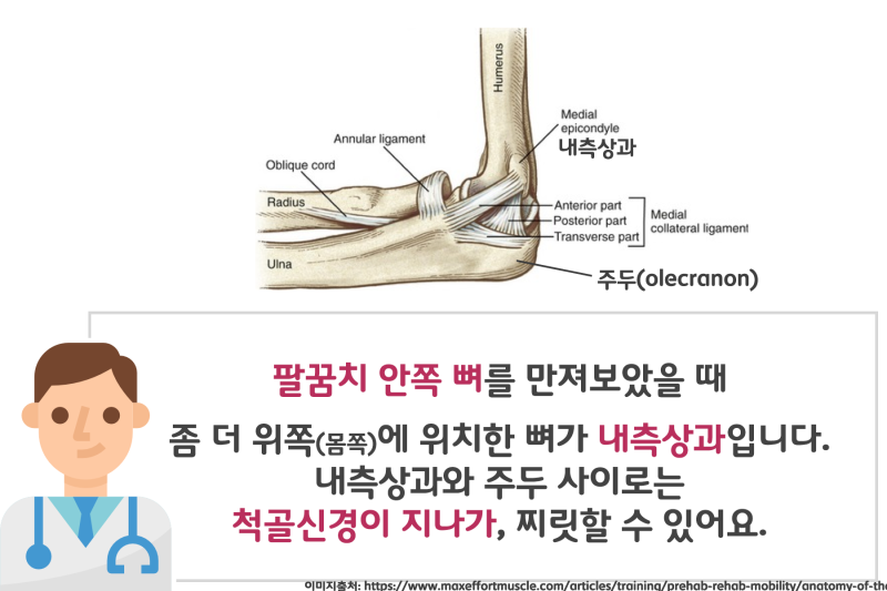 동탄엘보한의원 경희푸른이 알려드리는 팔꿈치 안쪽의 통증 골프엘보우내측상과염의 원인 증상 치료 관리 네이버 블로그