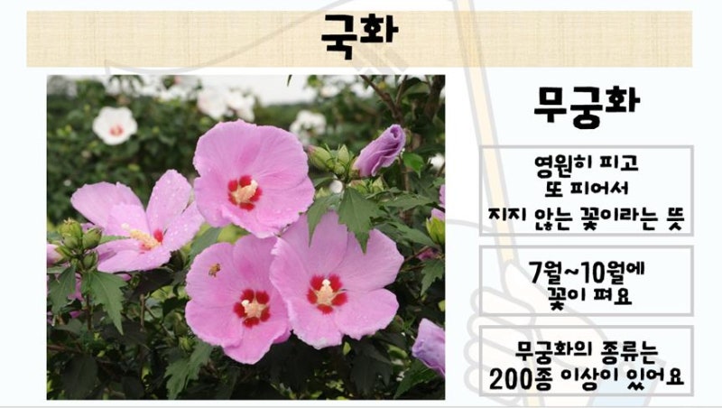 린린쌤 우리나라태극기우리나라를상징하는것우리나라국기이야기나누기 네이버 블로그