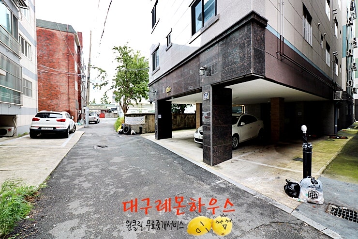 대구 동구 신기동 빌라 주인세대 전세 4층 독채 1순위 율하동과 반야월역 사이 신기역 도보 10분 월세 반전세 가능해요