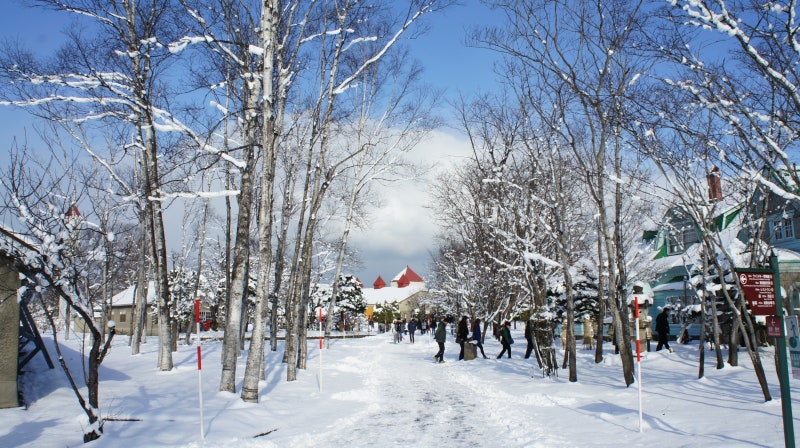 일본 북해도 여행 | 삿포로 가볼만한곳 니카 위스키 요이치 증류소 : 네이버 블로그
