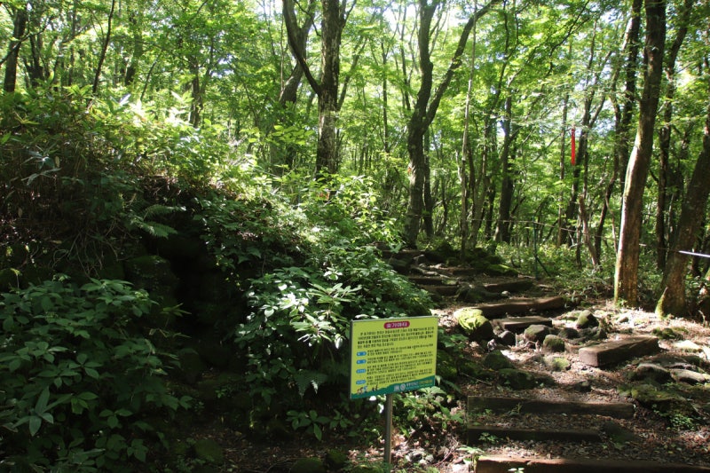 20 08 31 한라산 백록담 산행관음사주차장 백록담 왕복코스 탐라계곡에서 바라본 백록담북벽 And 한라산운해 네이버 블로그