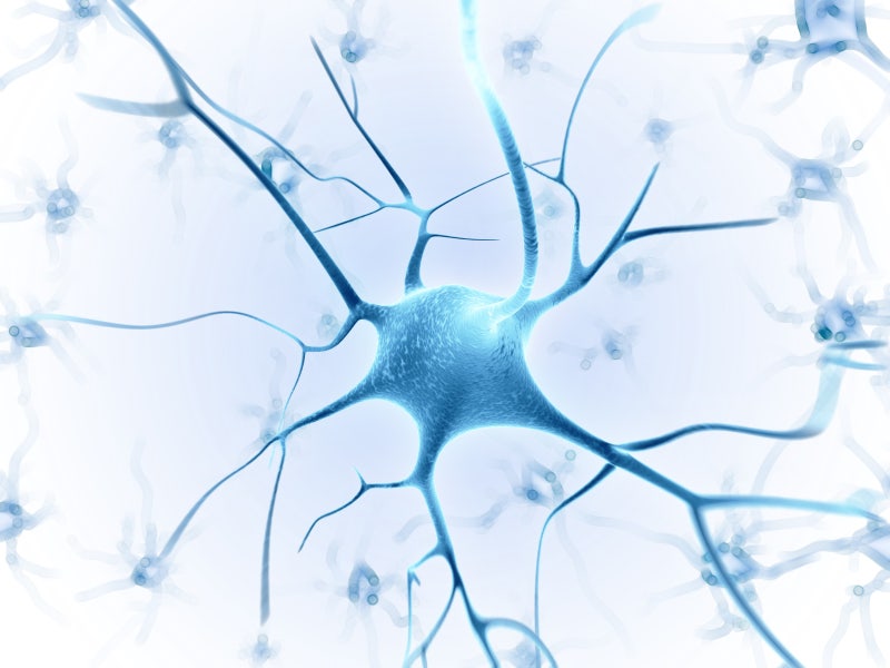 식물성 에스트로겐 종류와 하는 일 알아볼까요? : 네이버 블로그