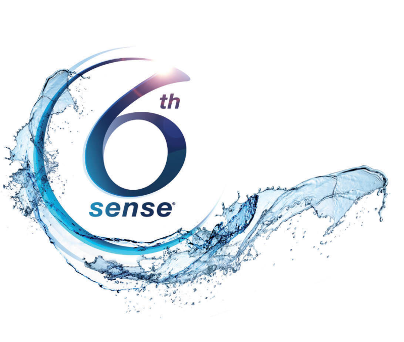 예능/영화 「식스센스(the Sixth Sense/Six Senses)」 - 소개(정의)/뜻(의미)/어원(유래) : 네이버 블로그