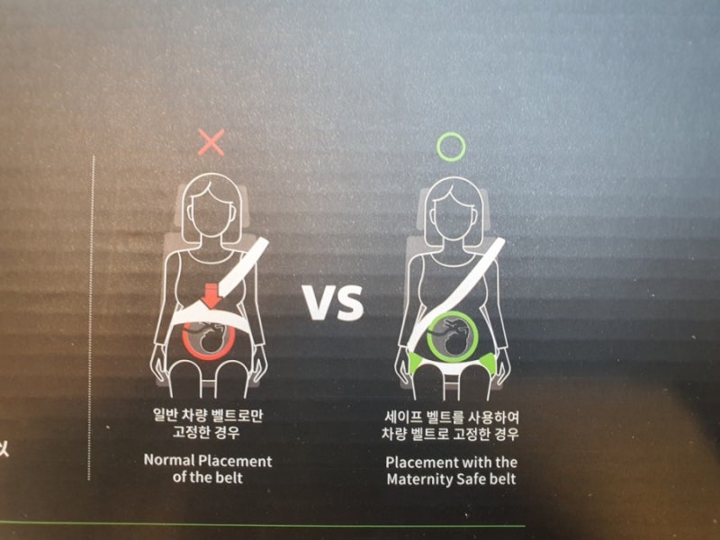 임신축하선물 운전한다면 다이치 임산부 안전벨트 내돈내산 내돈너선 후기 네이버 블로그