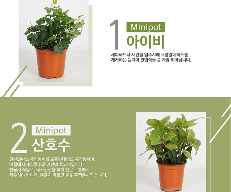 사무실파티션화분 실내공기정화식물화분 미니공기정화식물 키우기쉬운공기정화식물 미니팟 파티션화분 네이버 블로그