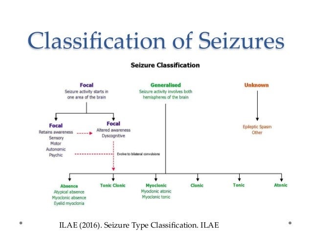focal seizure vs generalized seizure차이 : 네이버 블로그
