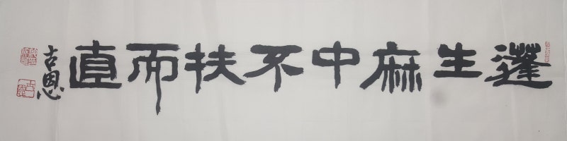 3-37 蓬生麻中 不扶而直 荀子,勸學篇 “삼밭의 쑥은 붙잡아 매주지 않아도 곧게 자란다”. : 네이버 블로그