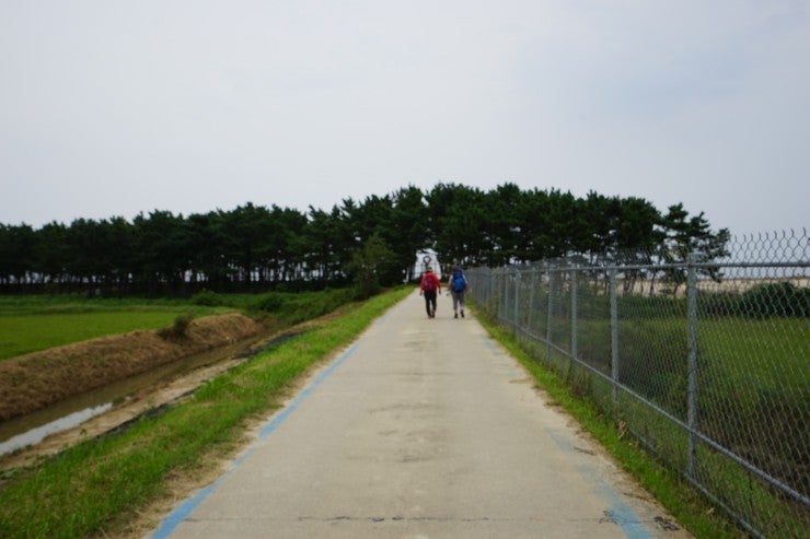 해파랑길고성구간48코스 가진항 연어맞이광장 반암해변 거진해변 거진항~ 네이버 블로그