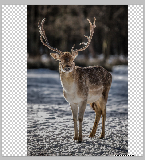 [포토샵] content-aware scale Tool 이용하여 배경 늘리기 : 네이버 블로그