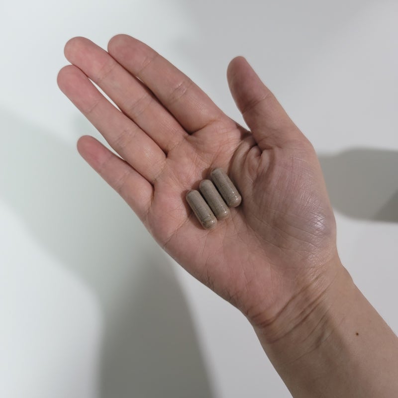 [아이허브] 수면과 면역에 좋은 내돈내산 추천 영양제 FibroBoost (with Seanol) : 네이버 블로그