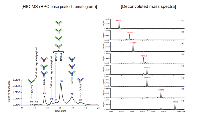 mAb의 online native HIC-MS분석 : 네이버 블로그