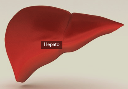 의학용어 기원 : 네이버 블로그