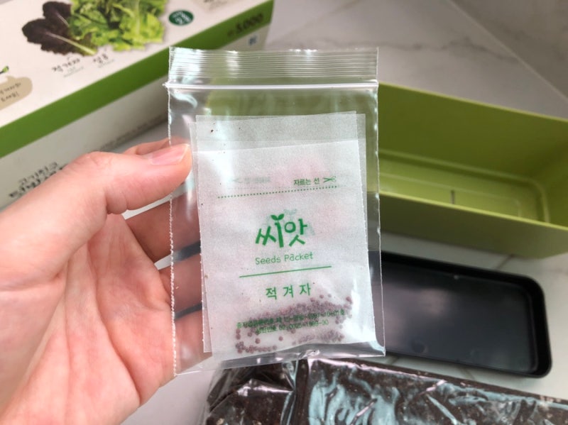 다이소 텃밭세트다이소 상추 씨앗적상추 발아 베란다 텃밭다이소 상추키우기 네이버 블로그