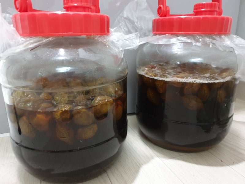 매실청 설탕부족 거품과 하얀곰팡이 났다면 꿀팁공개 네이버 블로그