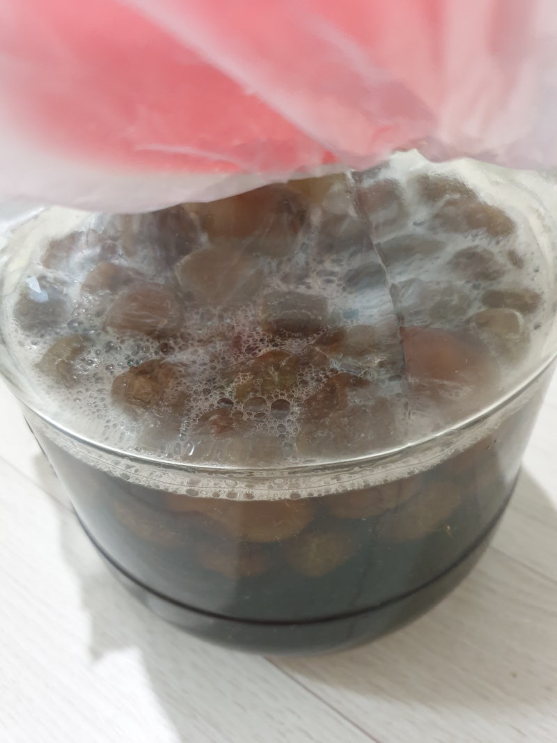 매실청 설탕부족 거품과 하얀곰팡이 났다면 꿀팁공개 네이버 블로그