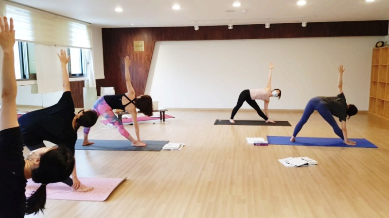 평촌요가 행복한담마요가 요가지도자과정 기본아사나 정렬 With 민유정선생님 네이버 블로그