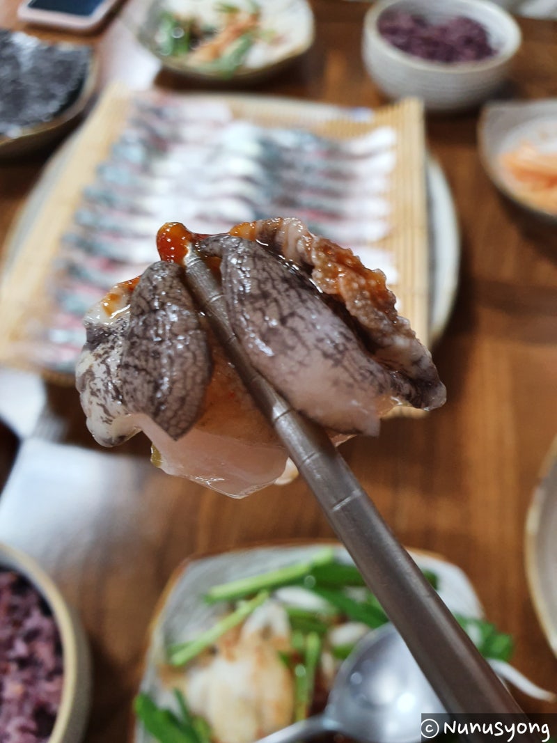제주 남서쪽 맛집 모슬포항 만선식당 송악산근처 고등어회 완전 추천 네이버 블로그