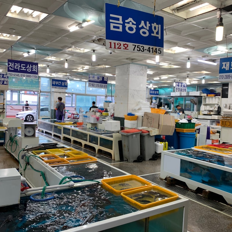 민락회센터 금강횟집 네이버 블로그
