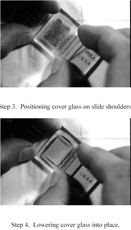 하와드 곰팡이 계수법 (Howard Mould Count Method) : 네이버 블로그