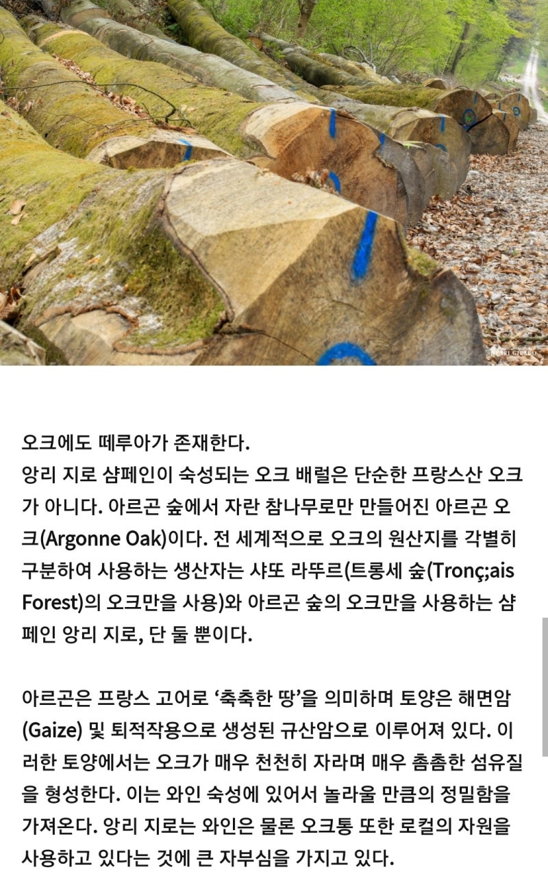 [와인] Henri Giraud Ratafia Solera 앙리지로 라타피아 솔레라 추천 주정강화와인🥂 : 네이버 블로그