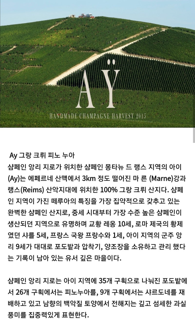 [와인] Henri Giraud Ratafia Solera 앙리지로 라타피아 솔레라 추천 주정강화와인🥂 : 네이버 블로그