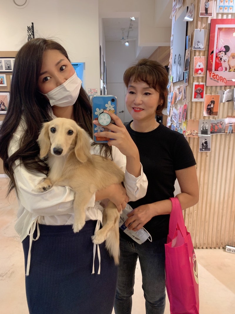 [오롯이 OROSY] 안산중앙동사진관 이미지샷 안산강아지증명사진 / 셀프스튜디오 : 네이버 블로그