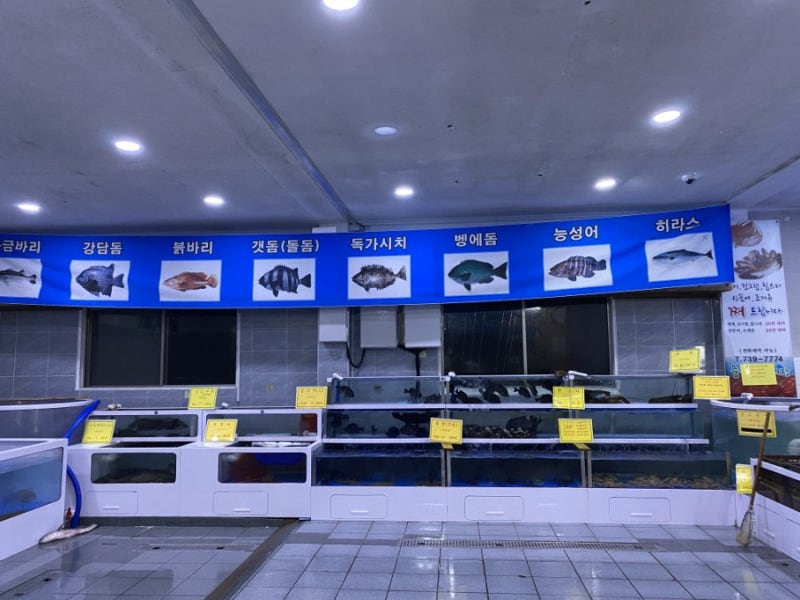 제주 서귀포 중문 횟집 포장전문 중문회어시장 너무 만족스러웠긔 네이버 블로그