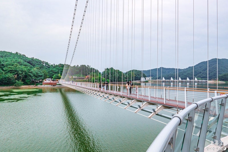 예산 가볼만한곳 국내 최대 예당호 출렁다리와 음악분수 네이버 블로그